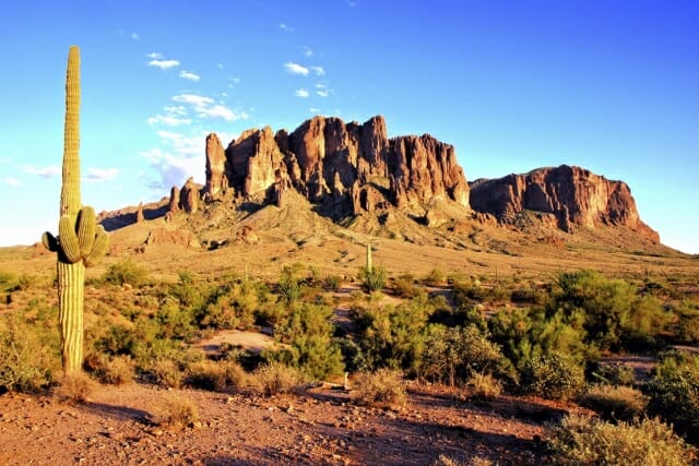 Phoenix AZ: Things Are Different in the Desert | ideal-LIVING Magazine