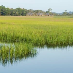 Best River Communities in U.S. | Top Retirement Locations Near Rivers